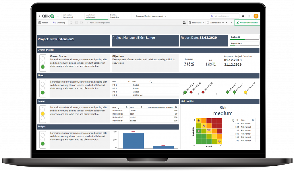 Project Management Dashboard Qlik Sense - LeapLytics